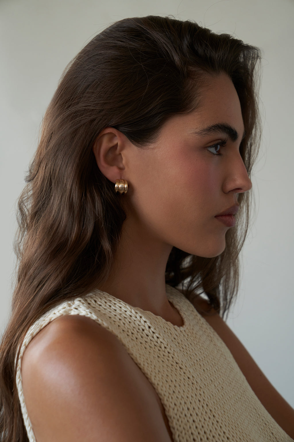 Small Elsa Shield Earrings – Lili Claspe