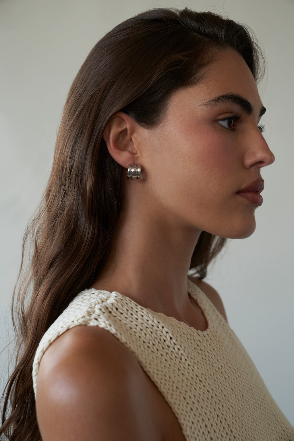 Small Elsa Shield Earrings – Lili Claspe